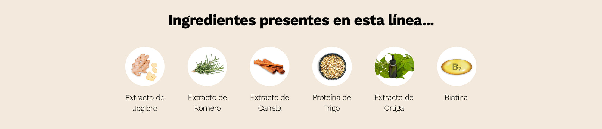 Línea BE POWERFUL – Ginger Milk Natural Care | República Dominicana