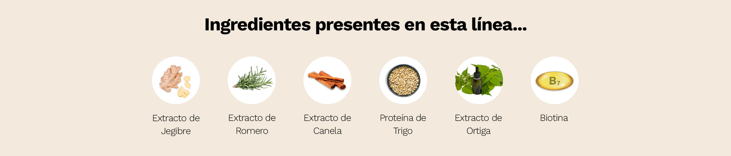 Línea BE POWERFUL – Ginger Milk Natural Care | República Dominicana